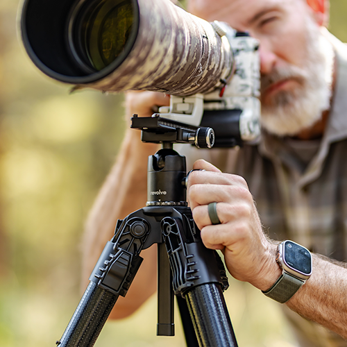 How to Photograph Wildlife: The Ultimate Guide for Beginners and Beyon – Revolve USA